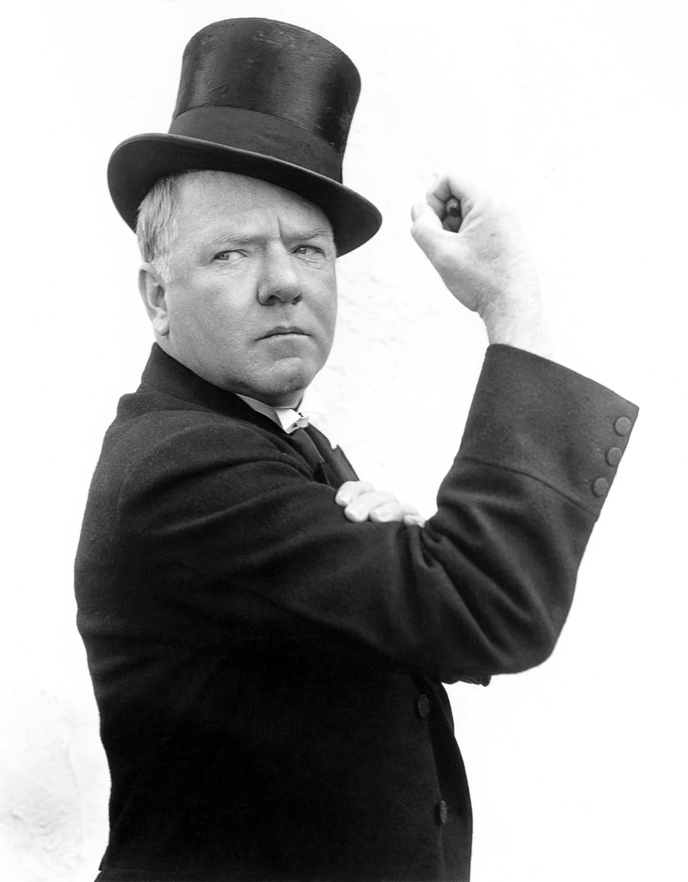 W.C. Fields-Annex